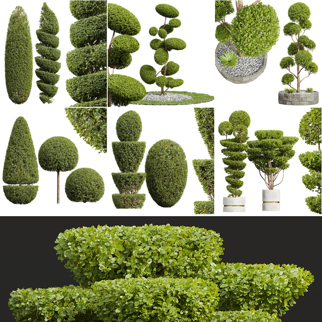 3D Model 6Different SETS Of Tree Set Vol 38 - TurboSquid 2205138