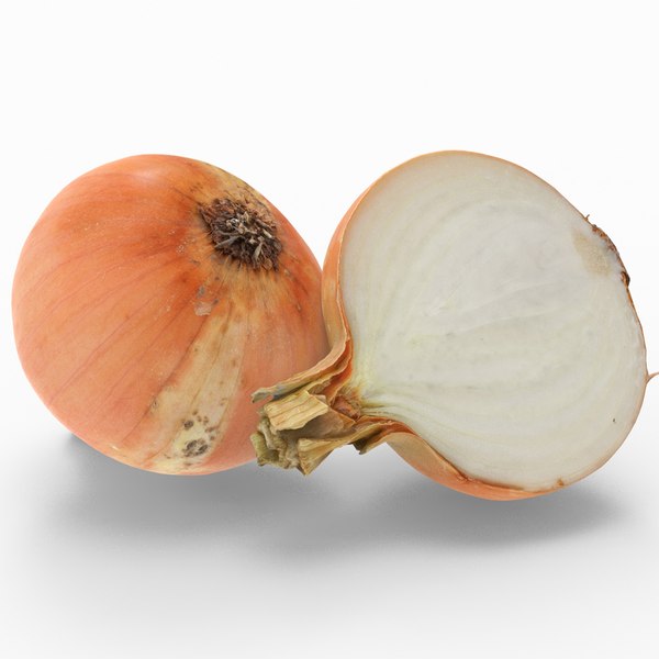 modelo 3d Onion - TurboSquid 1951766