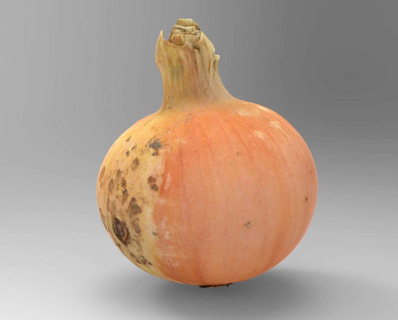 3D Onion - TurboSquid 1951766