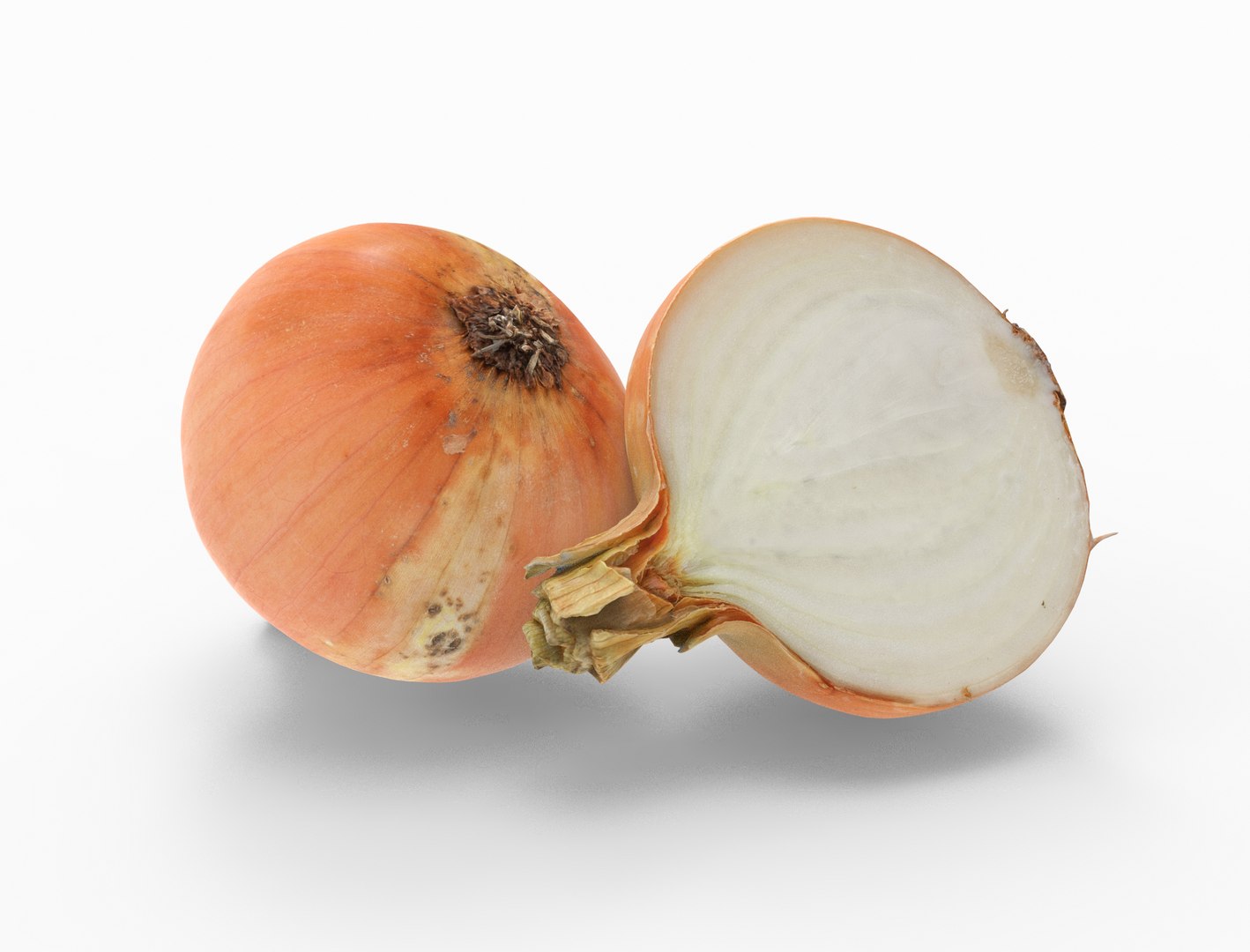 3D Onion - TurboSquid 1951766