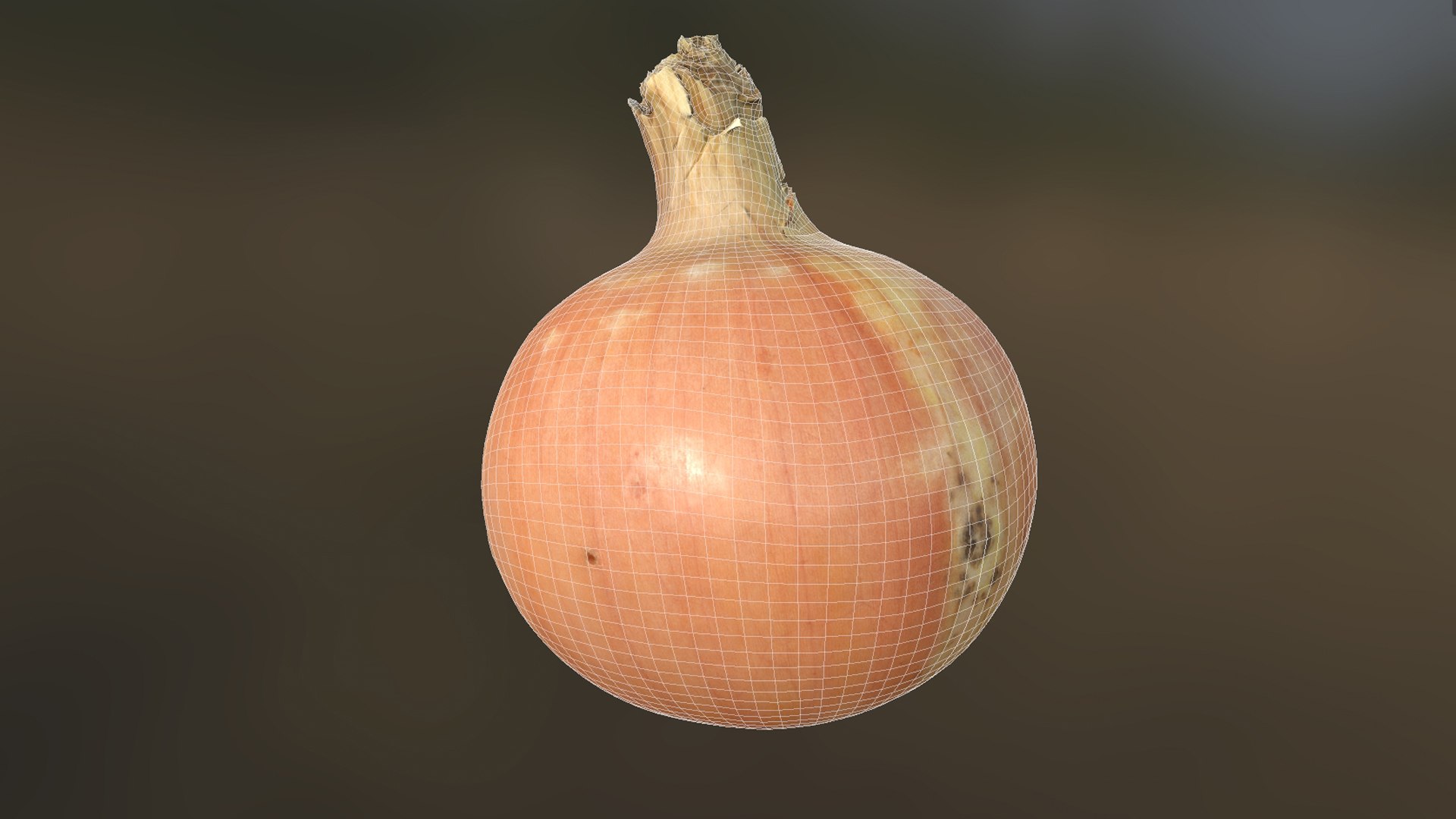3D Onion - TurboSquid 1951766