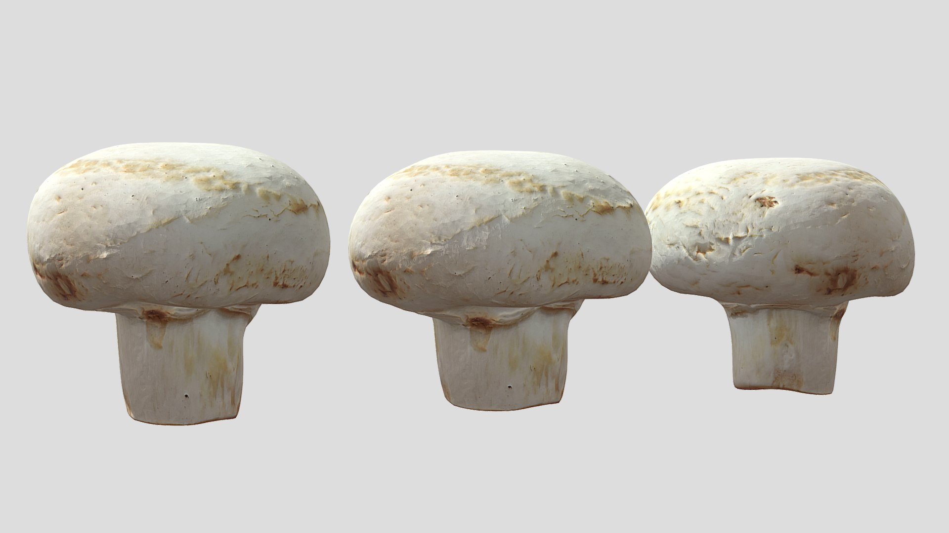 3D White Button Mushroom Low Poly - TurboSquid 2367644