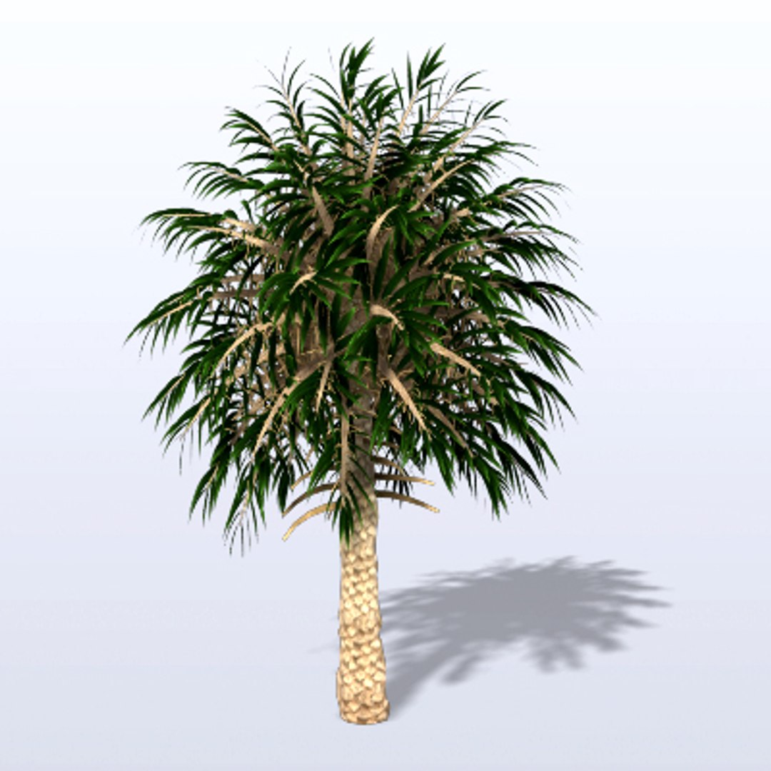 3d Palm Tree Model