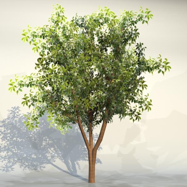 3d pc tree model