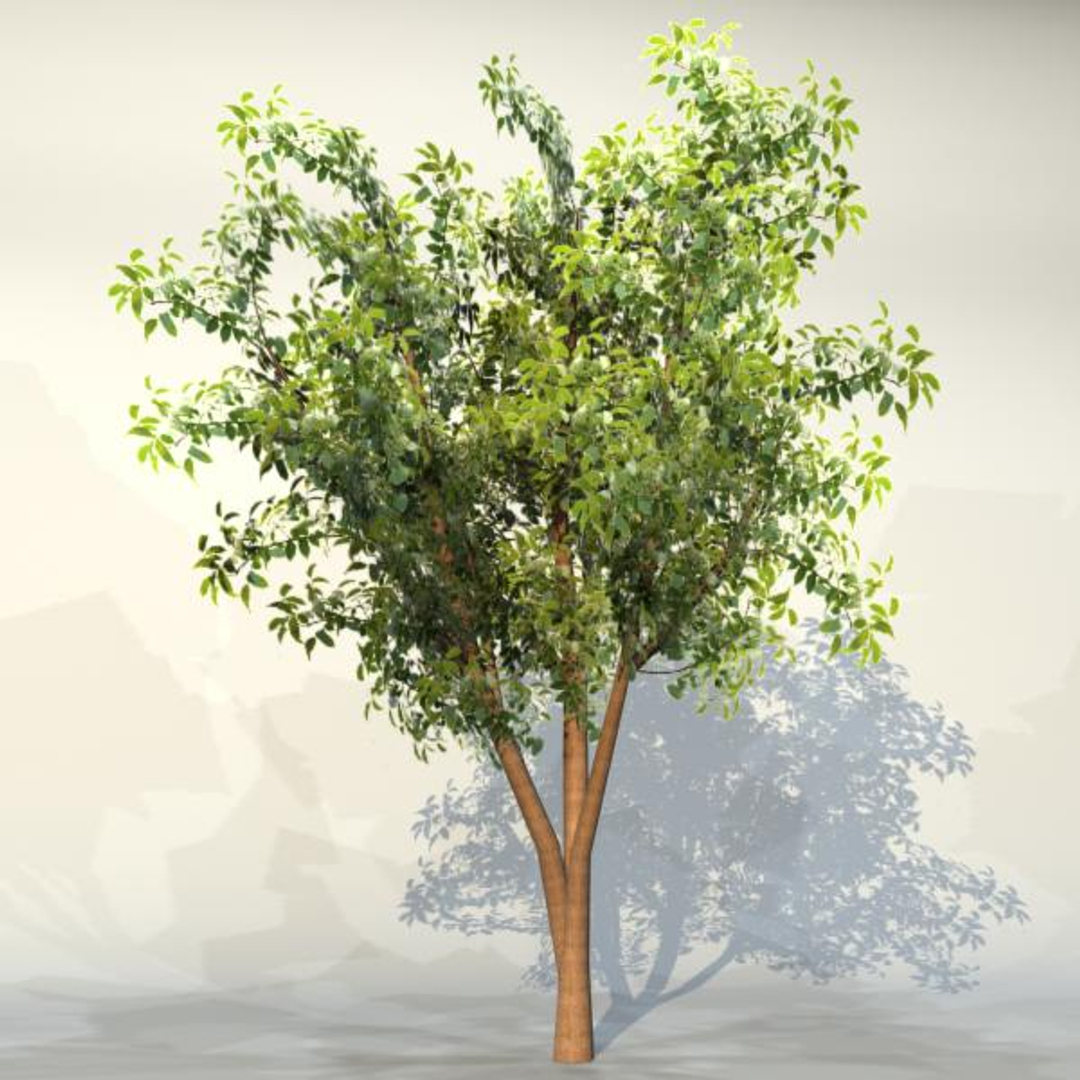 3d pc tree model