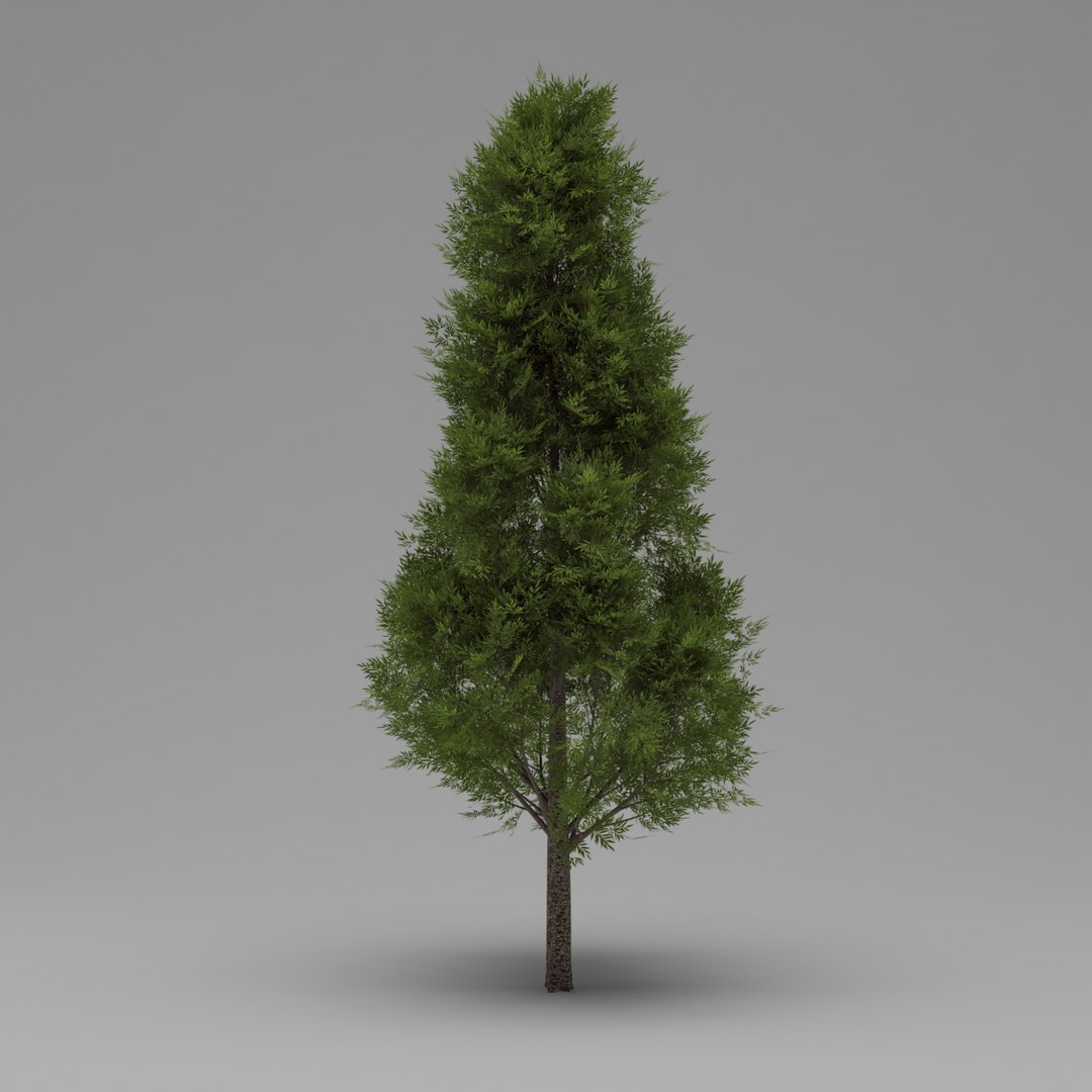 3d max deciduous 06