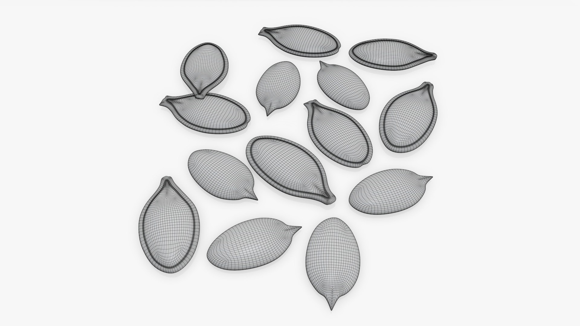 Pumpkin Seed 3D Model - TurboSquid 1628333