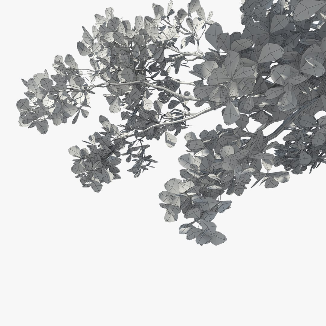 Quercus Robur Oak Pedunculate 3D Model - TurboSquid 1479983