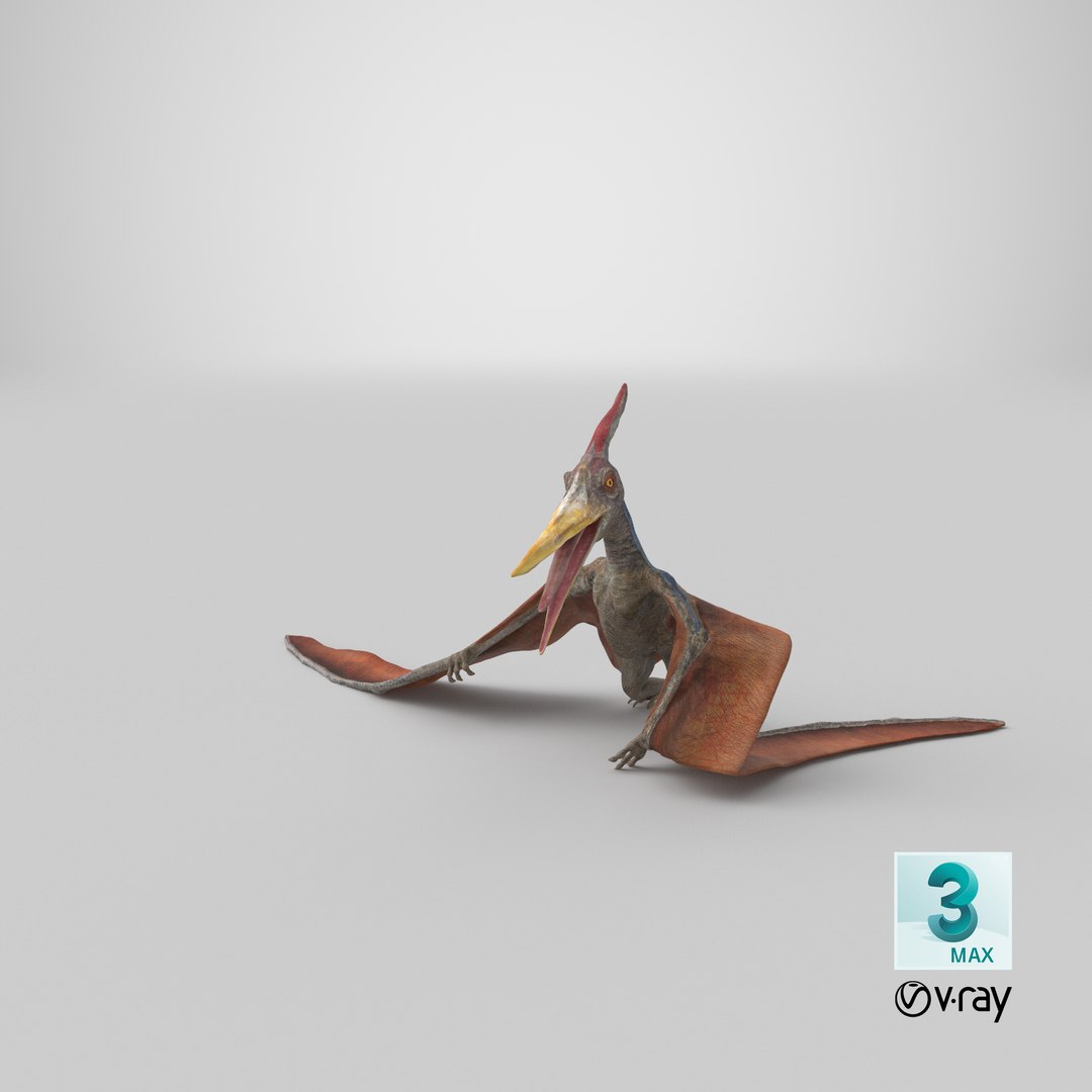3D model pteranodon standing pose - TurboSquid 1386662