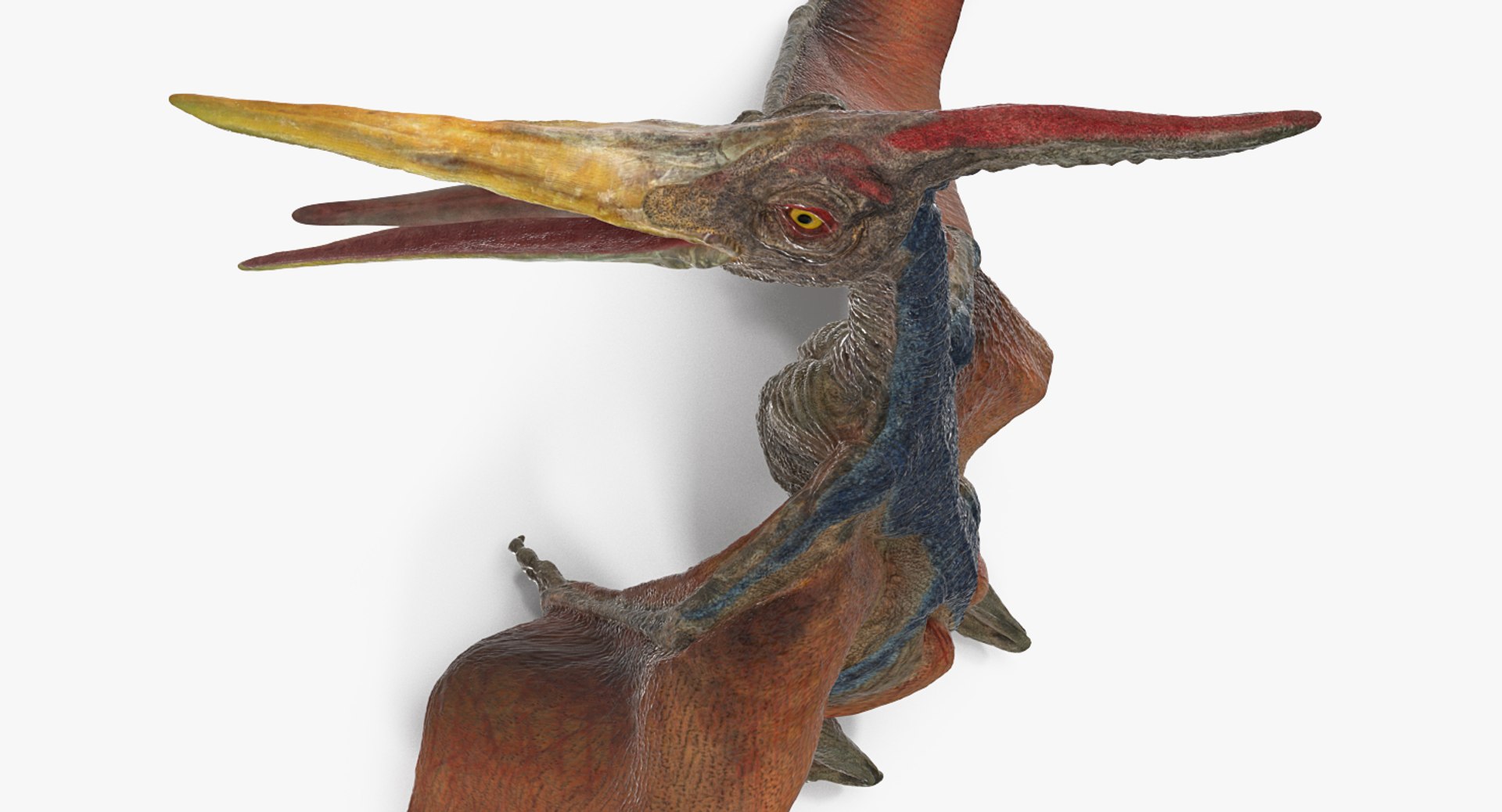 3D Model Pteranodon Standing Pose - TurboSquid 1386662