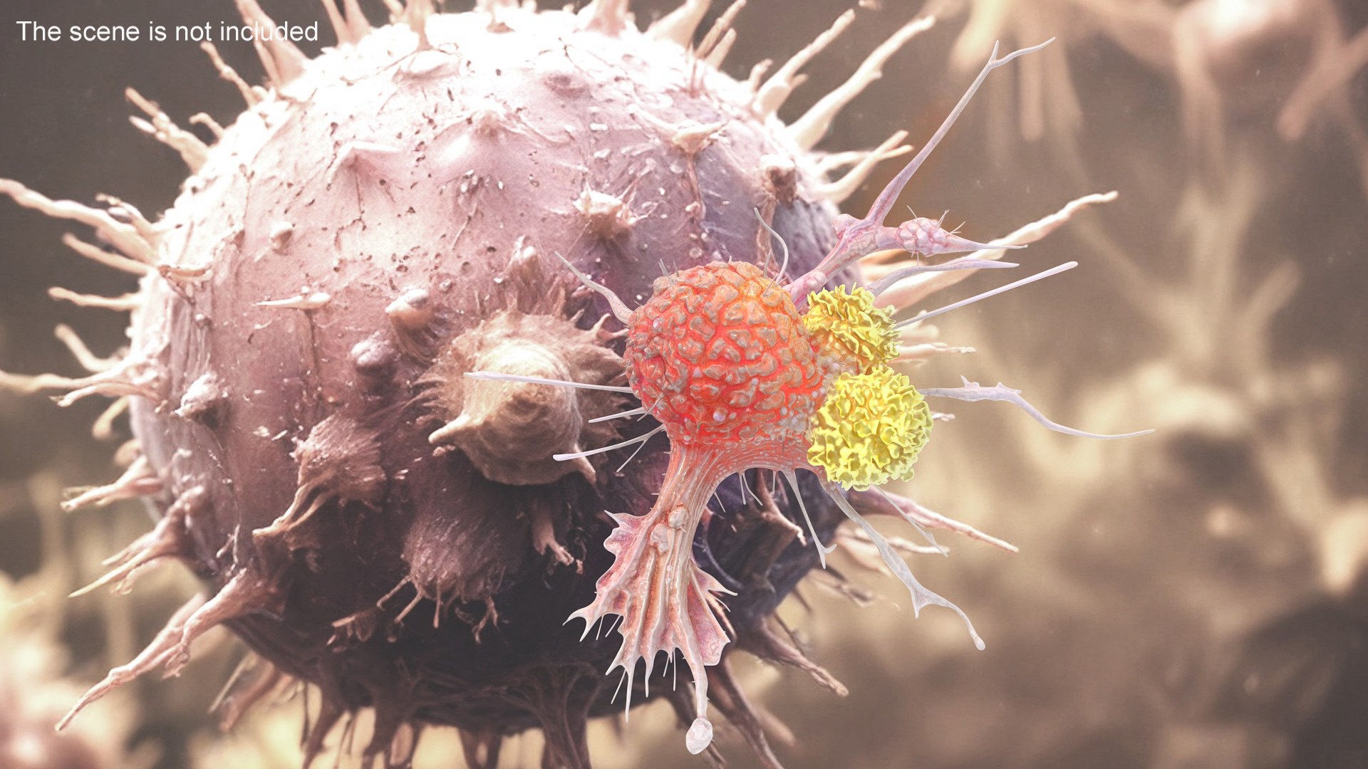 3D Model Human Cancer Cell With 2 Lymphocyte - TurboSquid 2220676