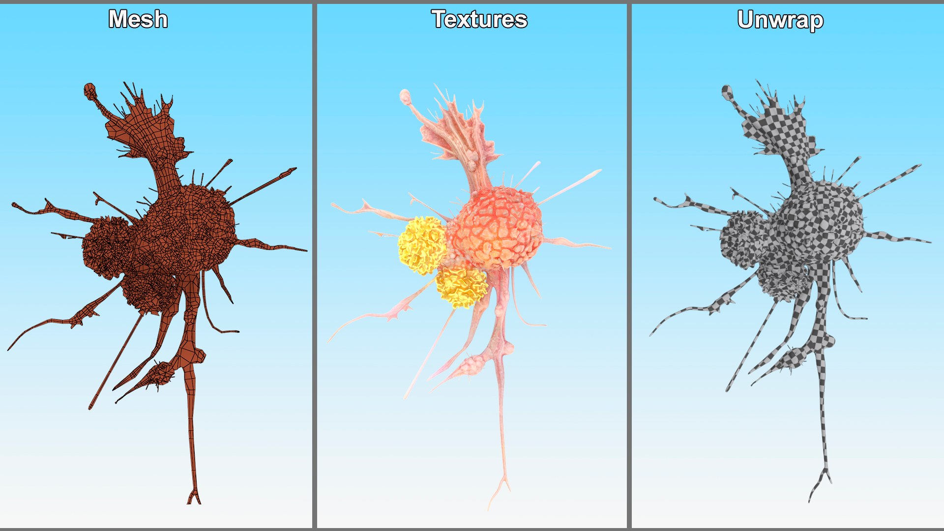 3D Model Human Cancer Cell With 2 Lymphocyte - TurboSquid 2220676