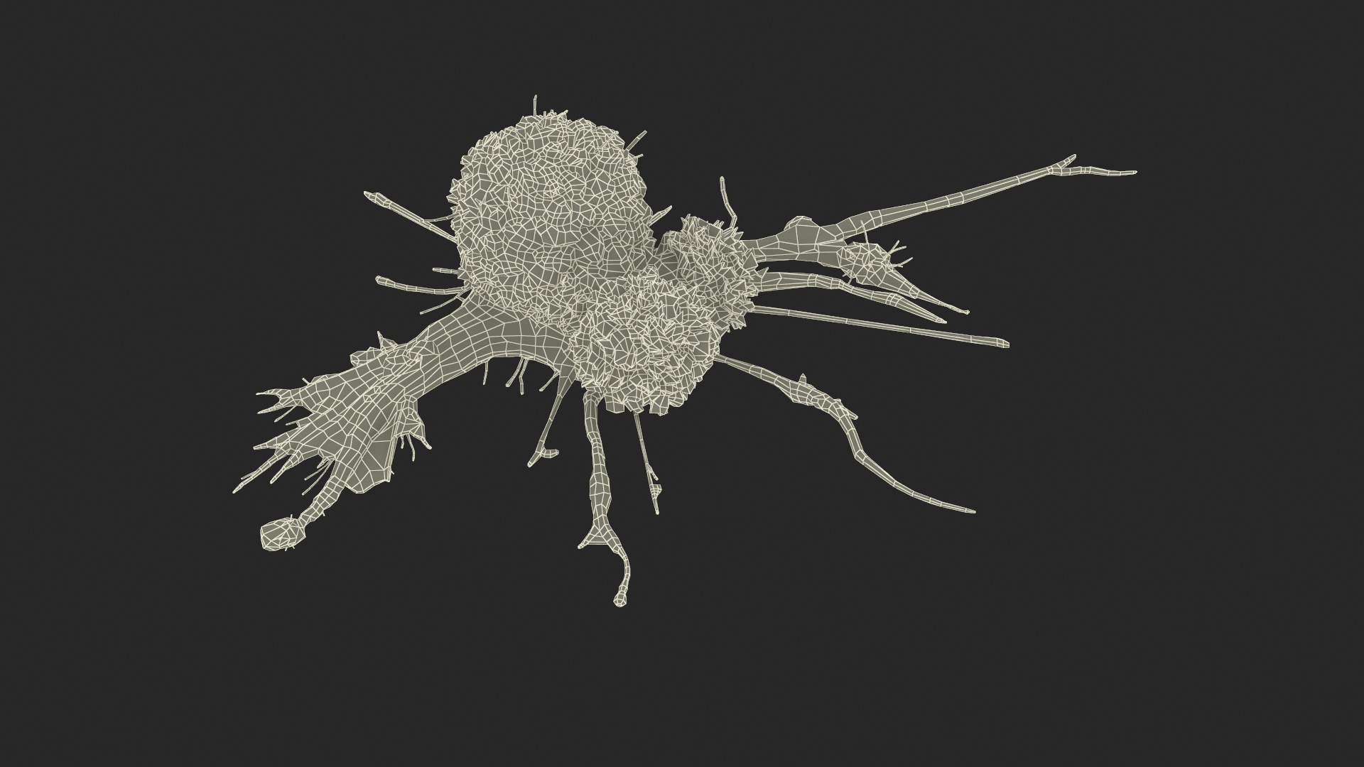3D Model Human Cancer Cell With 2 Lymphocyte - TurboSquid 2220676