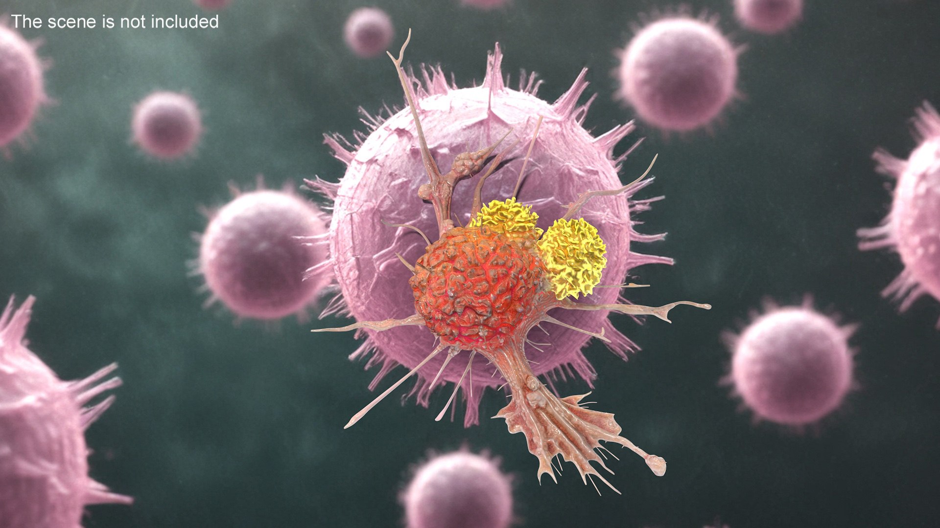 3D Model Human Cancer Cell With 2 Lymphocyte - TurboSquid 2220676