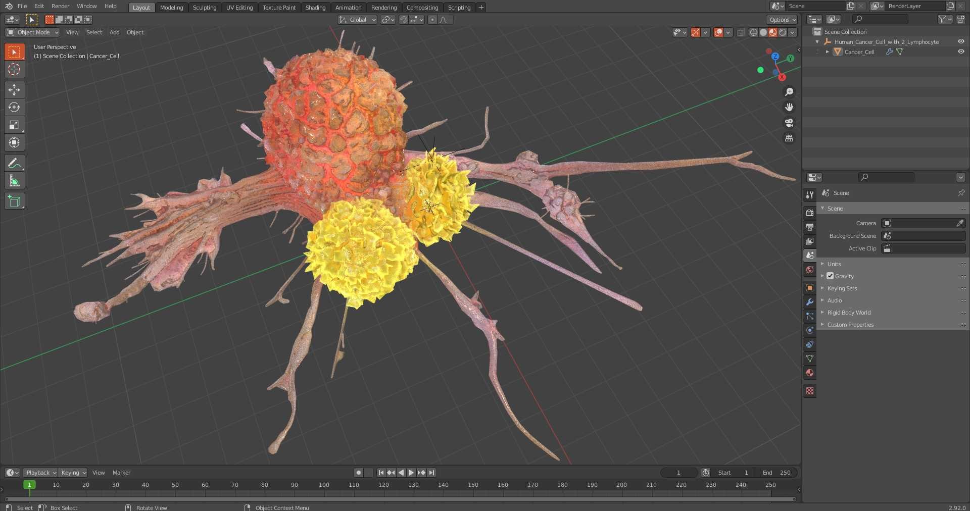 3D Model Human Cancer Cell With 2 Lymphocyte - TurboSquid 2220676
