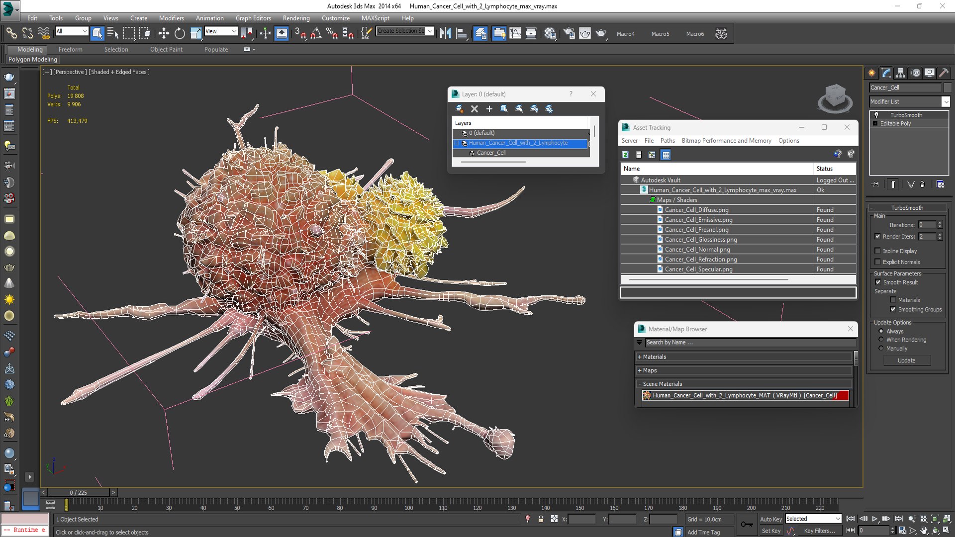 3D Model Human Cancer Cell With 2 Lymphocyte - TurboSquid 2220676