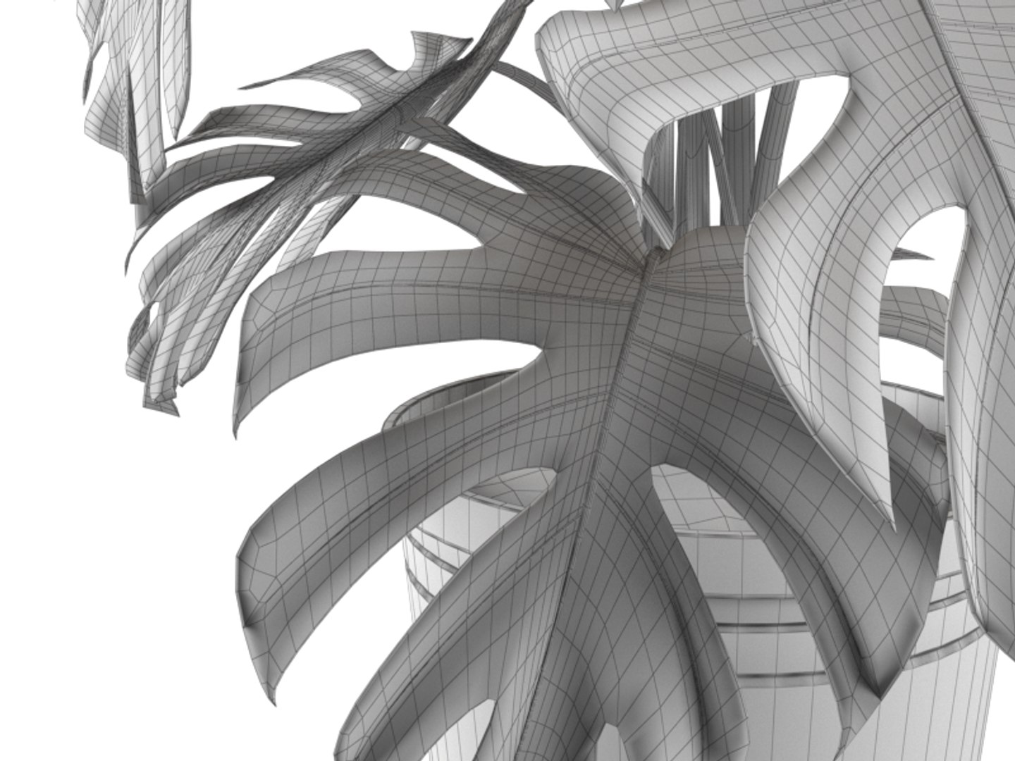 Monstera 3D Model - TurboSquid 1512379