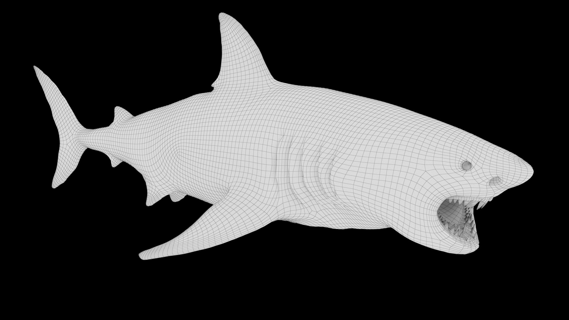 3D Sea Animal Pack - TurboSquid 1824010