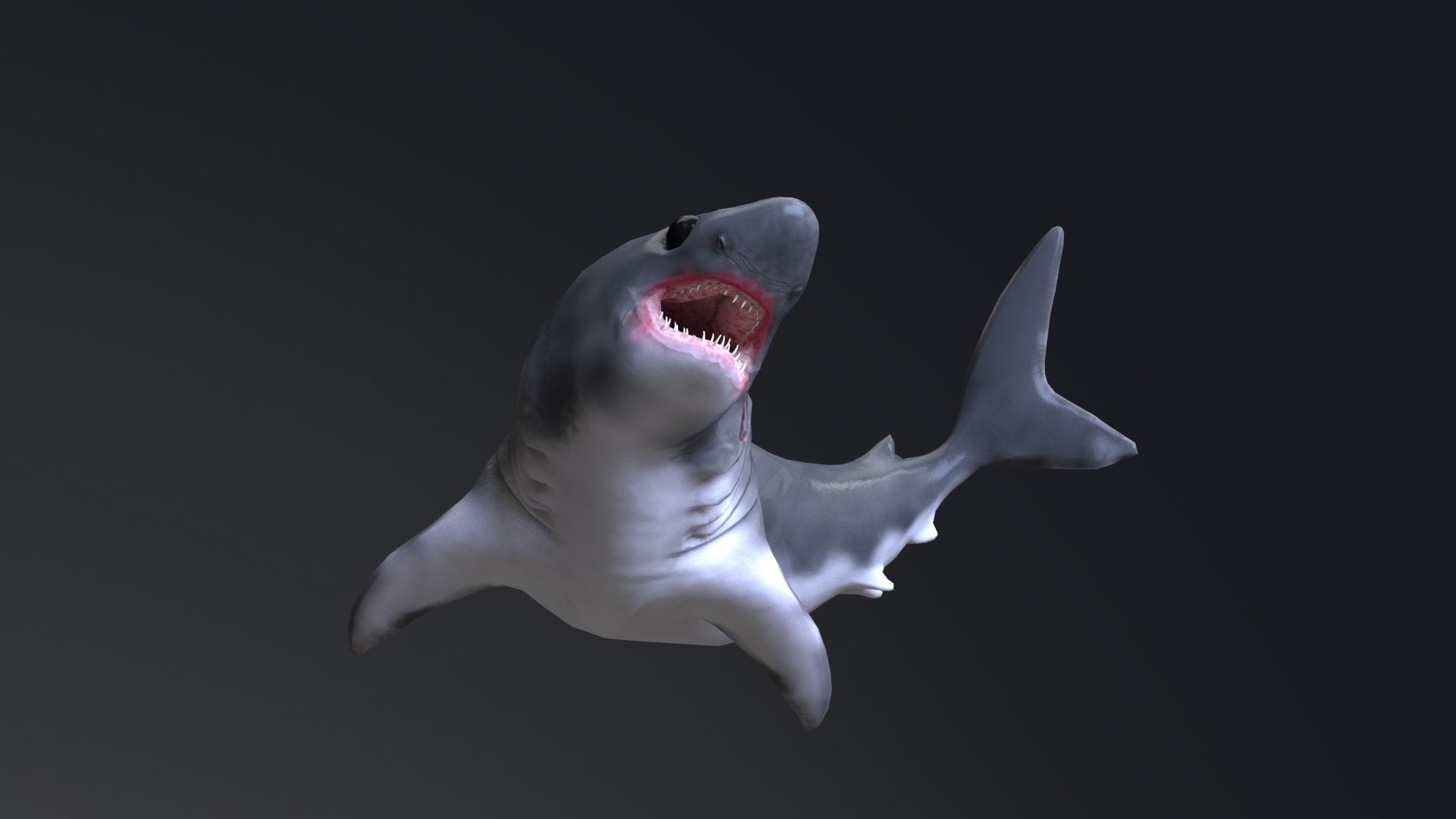 3D Sea Animal Pack - TurboSquid 1824010