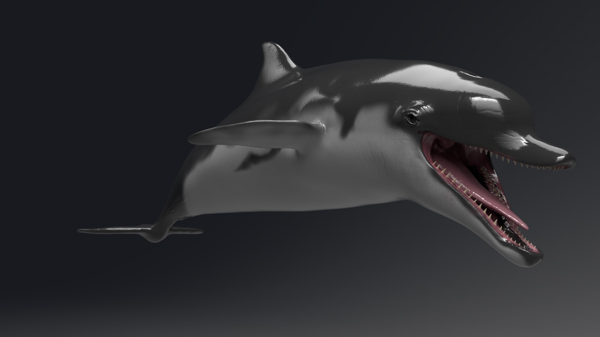 3D Sea Animal Pack - TurboSquid 1824010