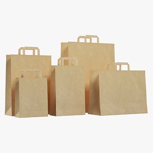Max Paper Bag Set