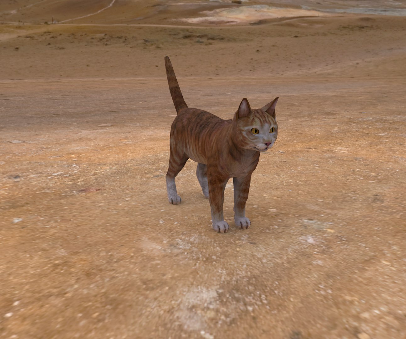 Orange Cat 3D Model - TurboSquid 1255666