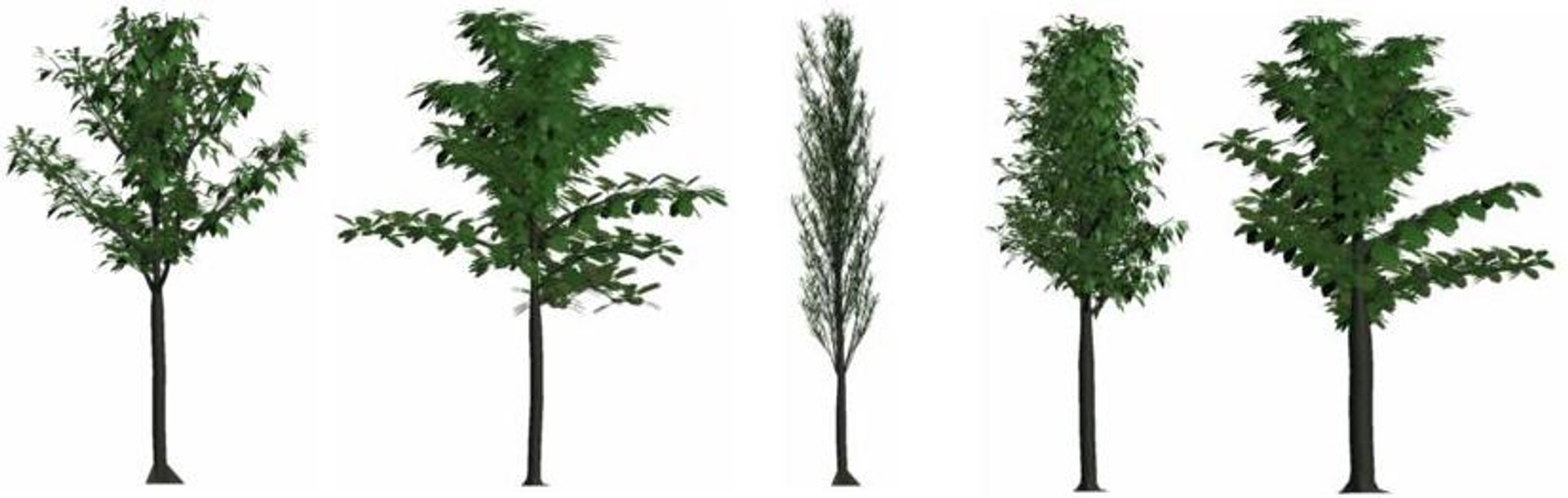 trees bushes 3d model
