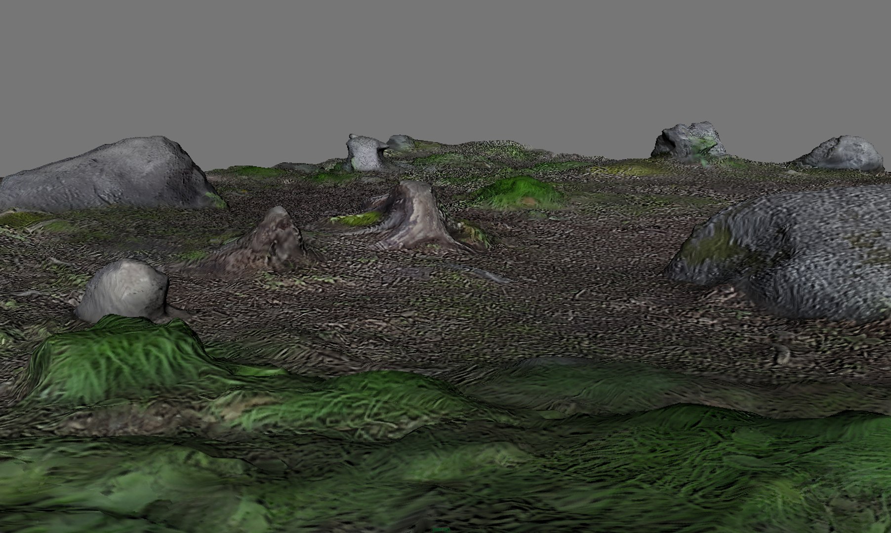 3d Model Of Forest Ground