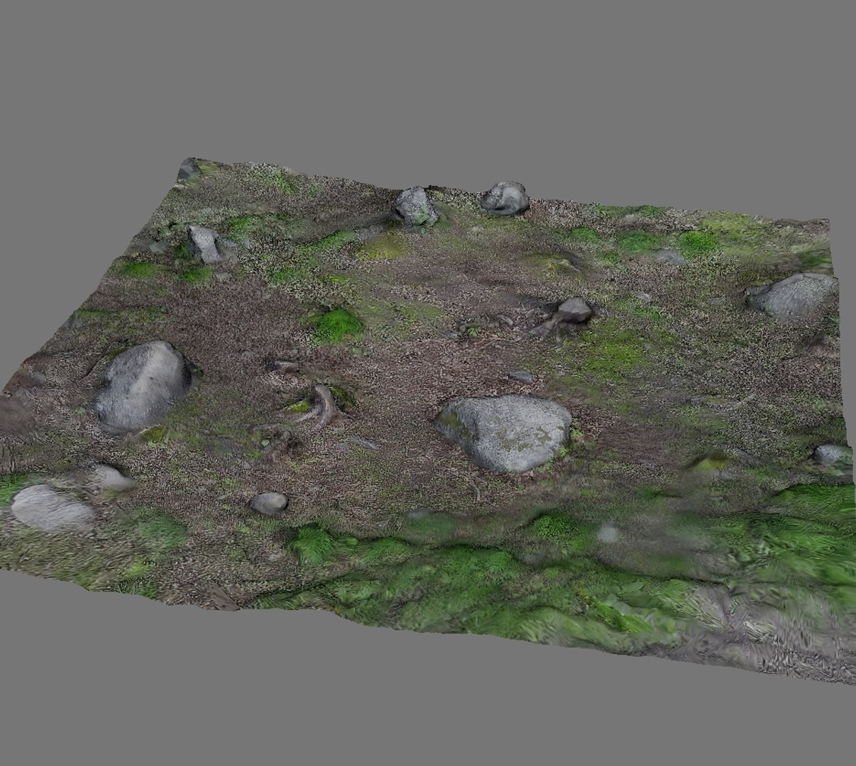 3d Model Of Forest Ground