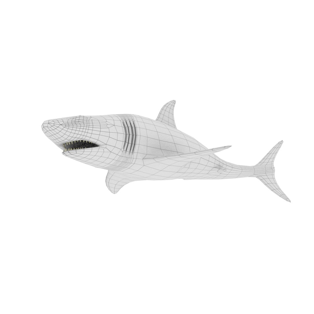 3d shark great white model