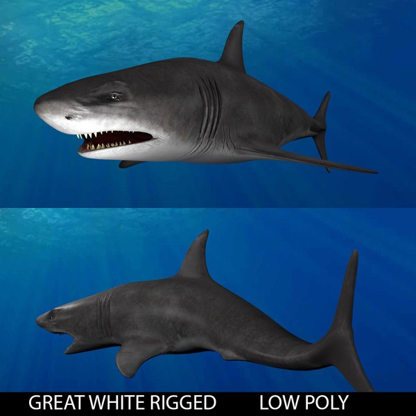 Great White Shark Blender Models for Download | TurboSquid