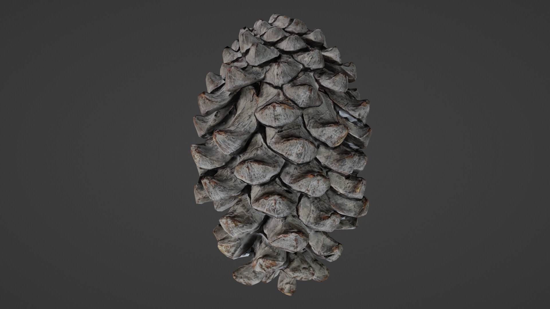 3D Pine Cone Model - TurboSquid 2330433