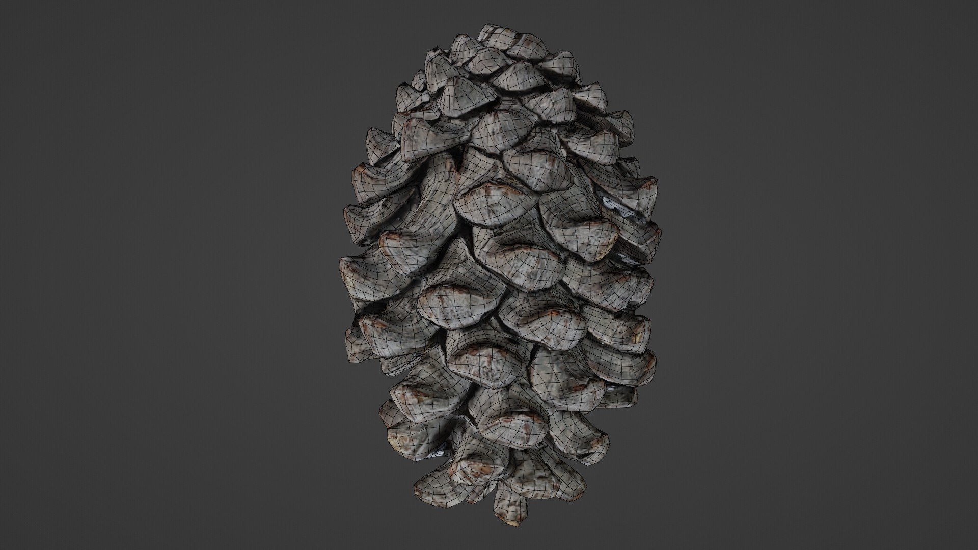3D Pine Cone Model - TurboSquid 2330433