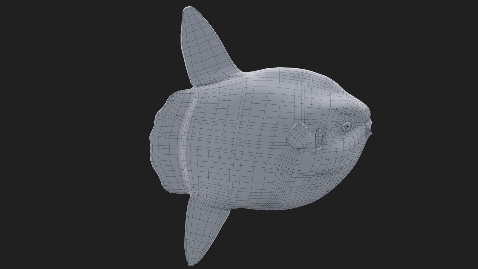 Ocean Sunfish model - TurboSquid 2122676