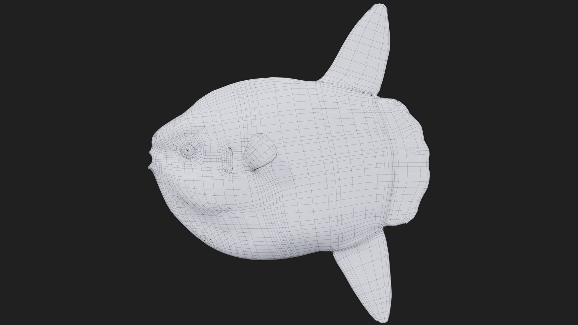 Ocean Sunfish model - TurboSquid 2122676