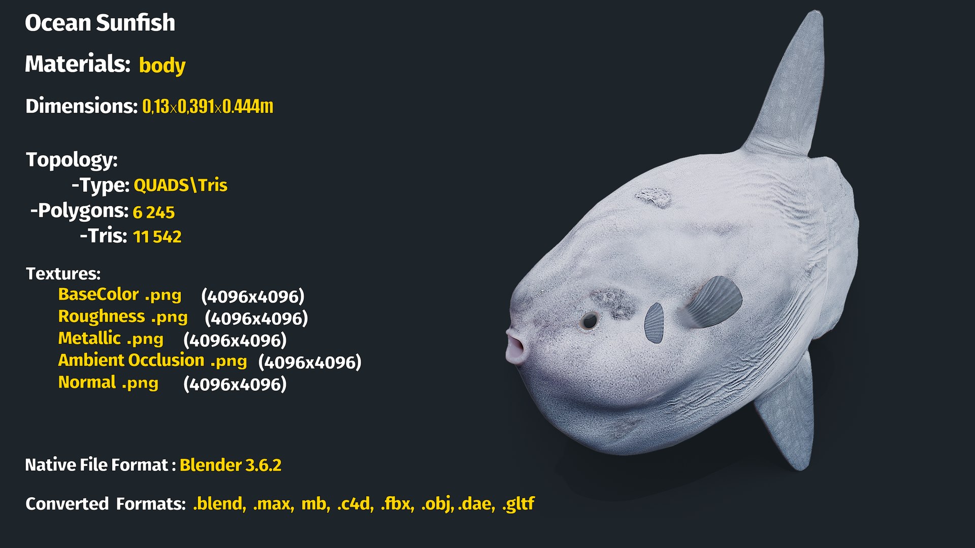 Ocean Sunfish Model - TurboSquid 2122676