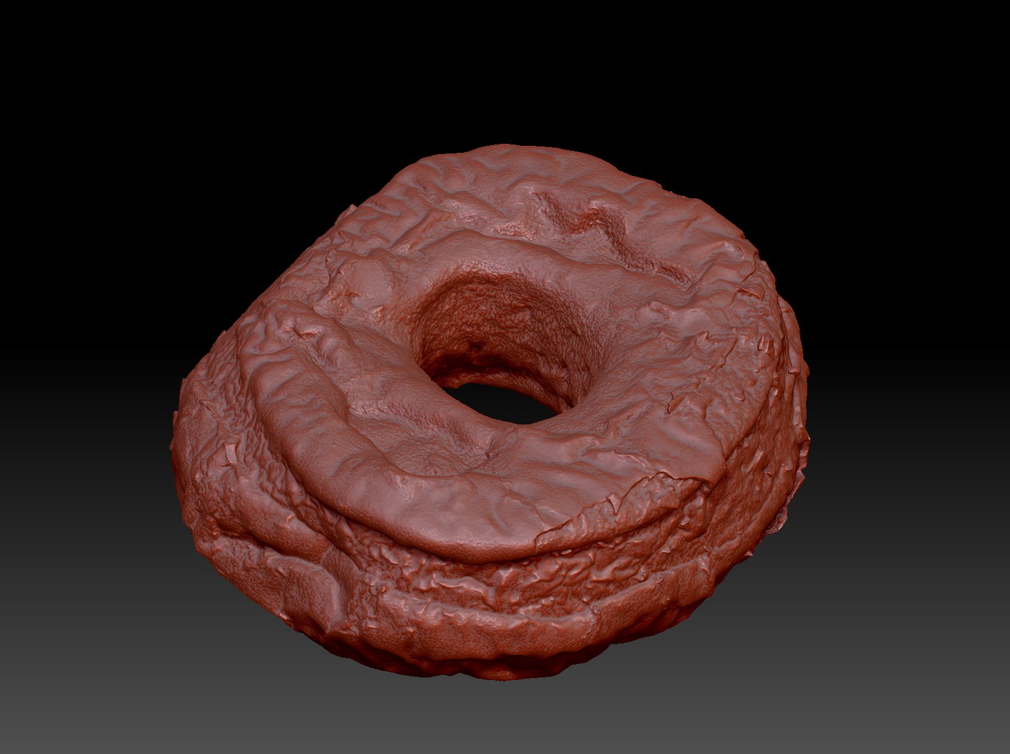 Doughnut Plant 3D Model - TurboSquid 1401413