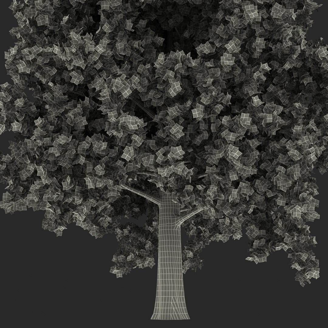 3d red oak tree summer