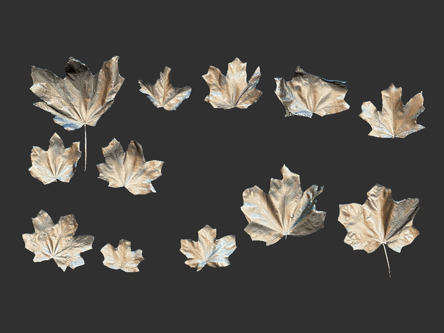 3D Autumn Leaves Scan Pack - TurboSquid 1340456