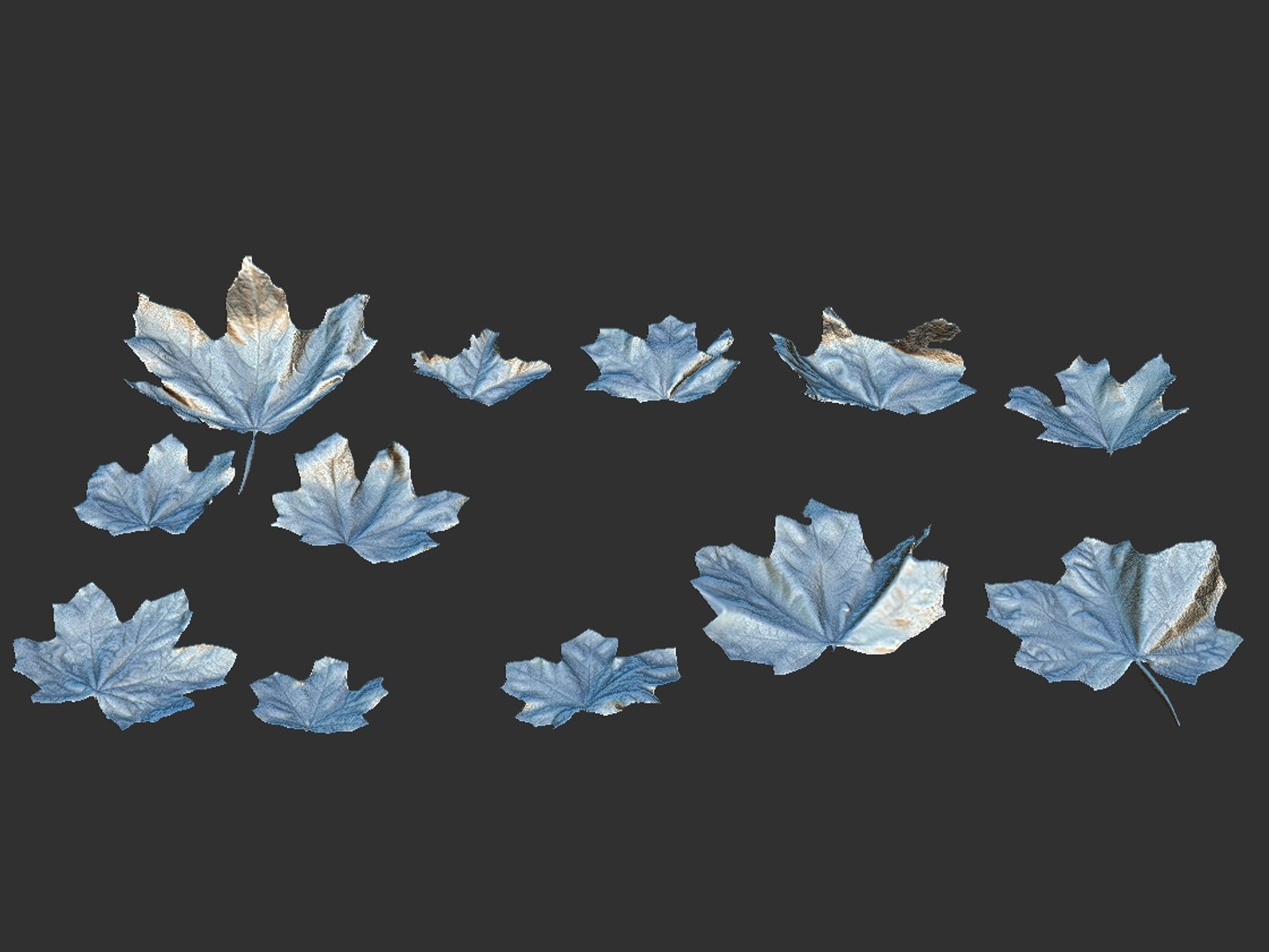 3D Autumn Leaves Scan Pack - TurboSquid 1340456