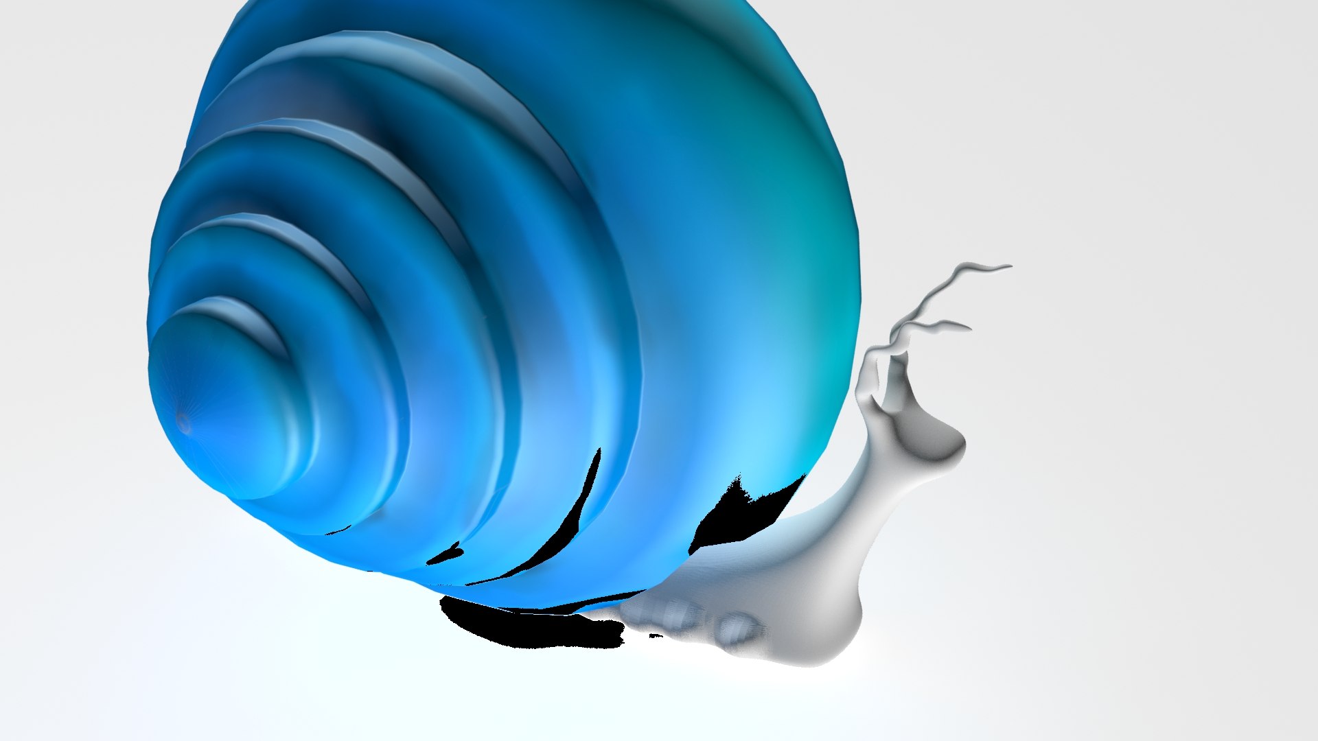 snail shell 3d max