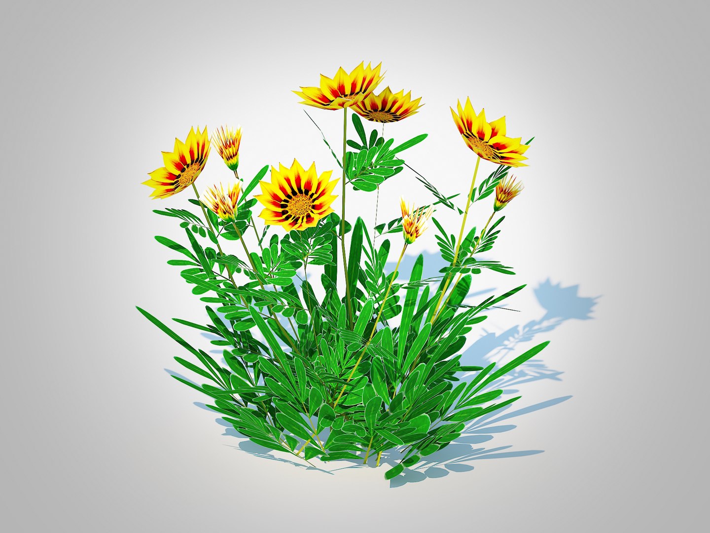 3D Gazania Rigens Daybreak Yellow - TurboSquid 2300488