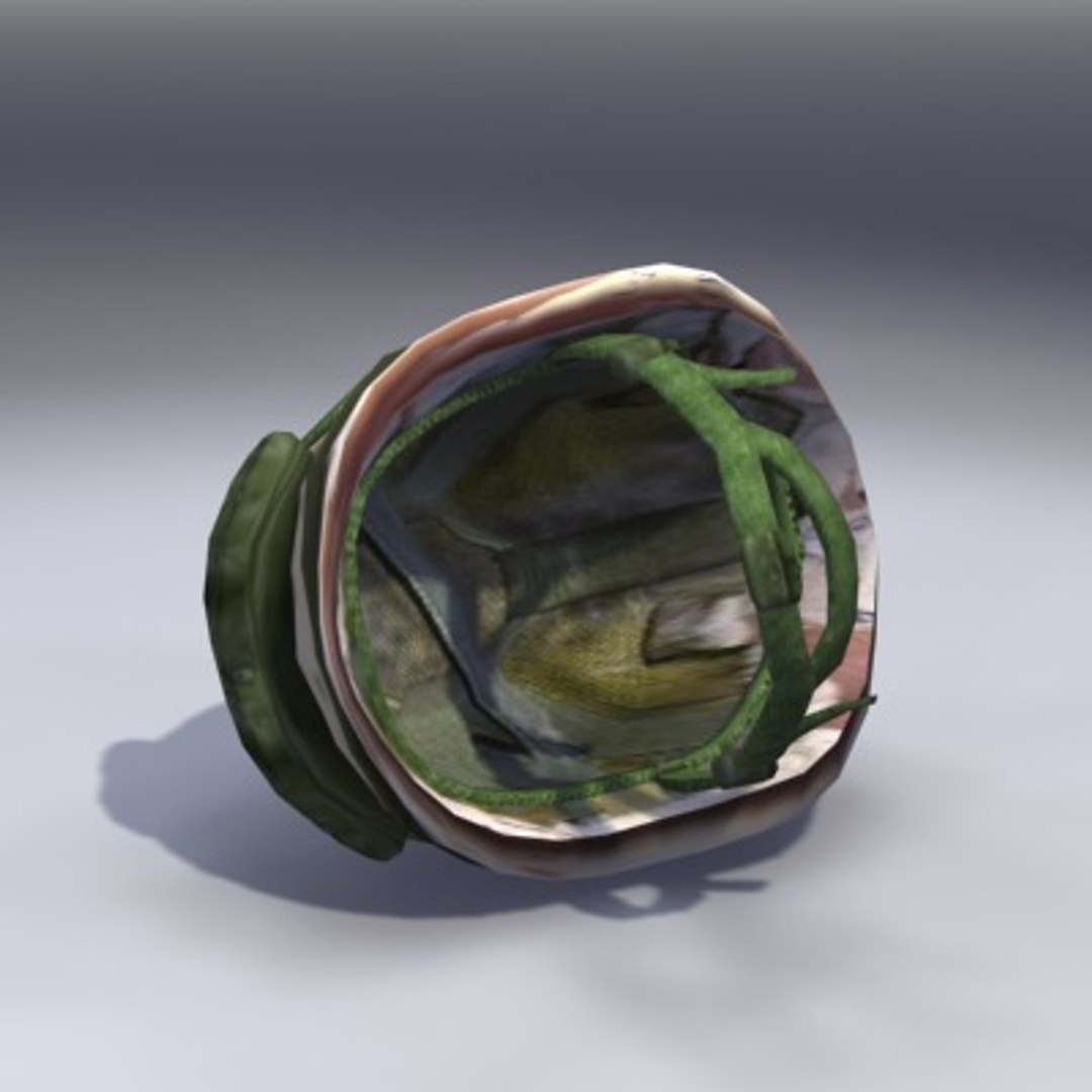 Pasgt Head 3d Model