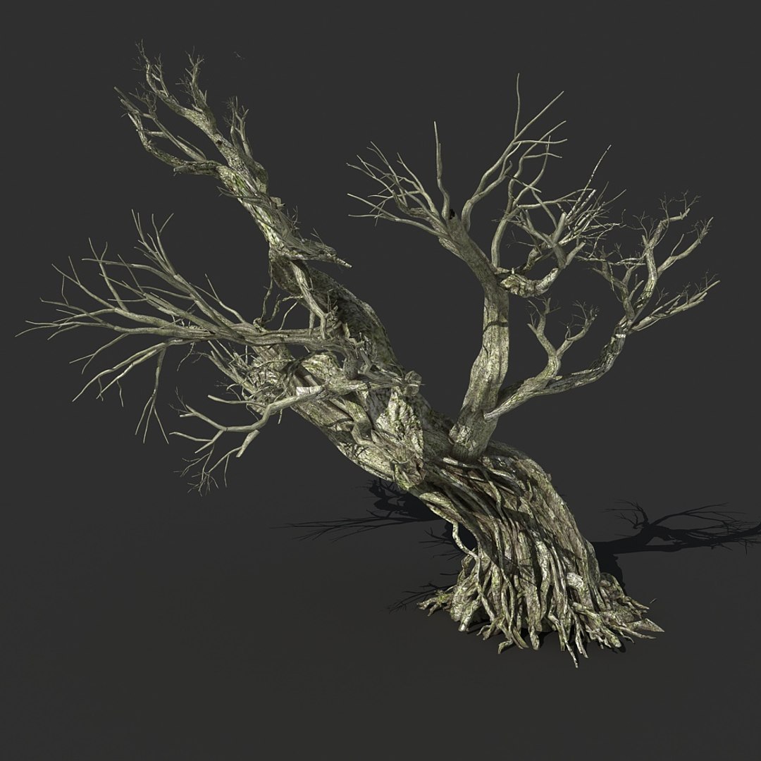 3d Scary Tree Dry
