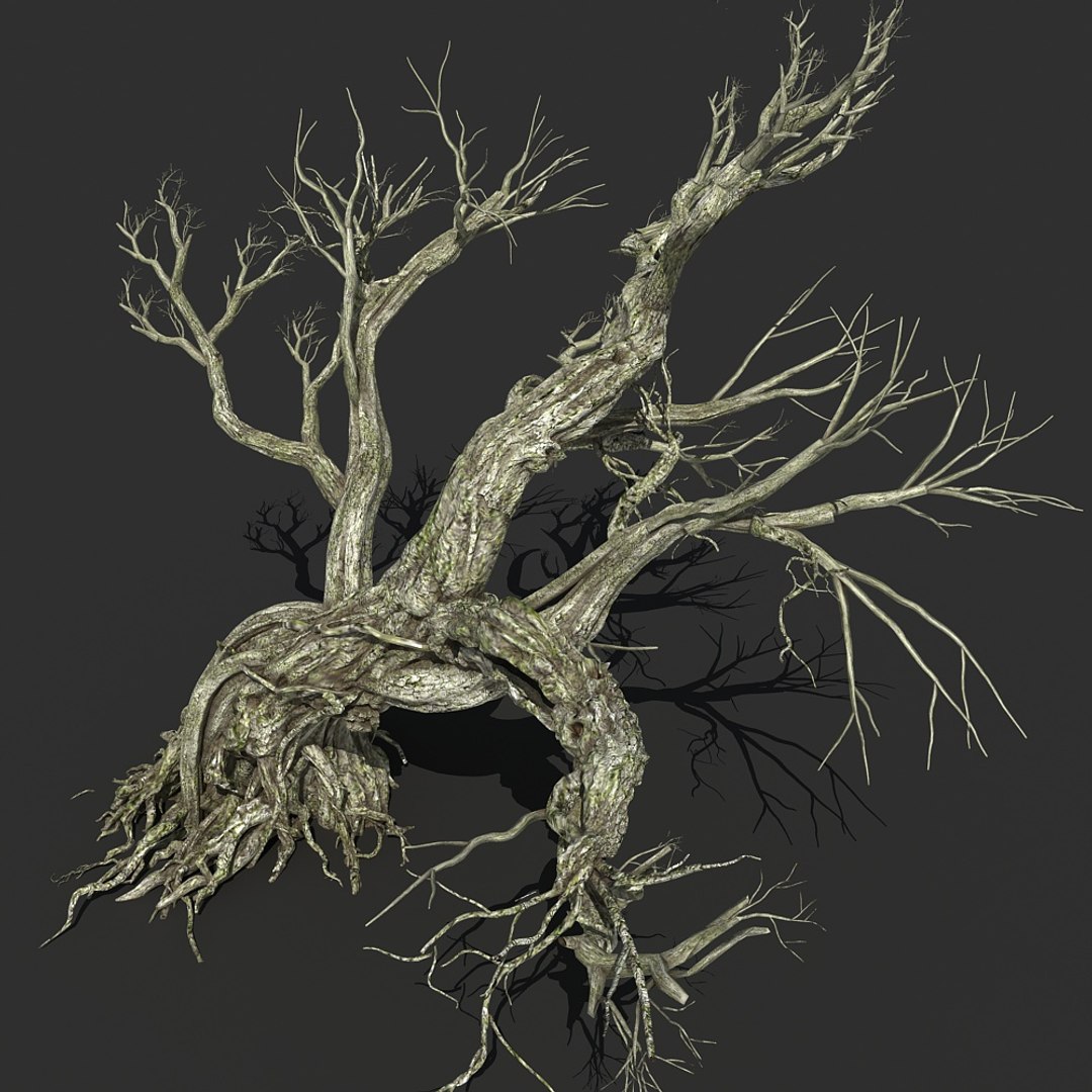 3d Scary Tree Dry