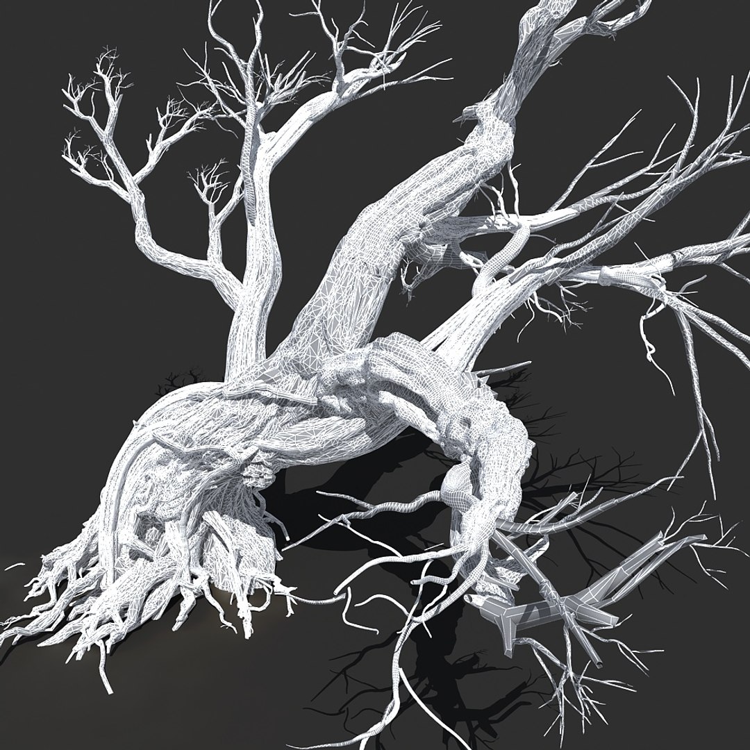 3d Scary Tree Dry