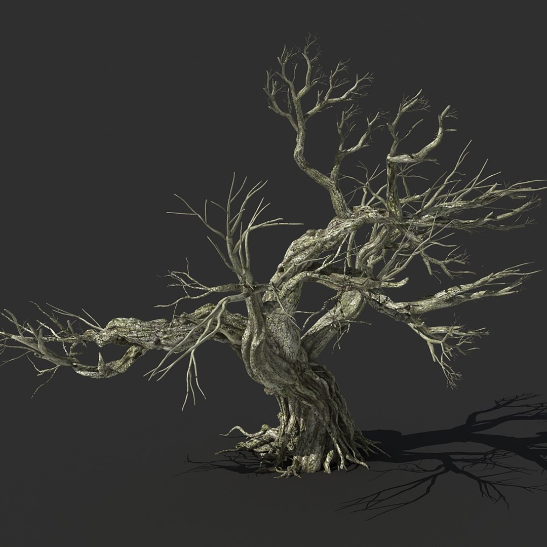 3d Scary Tree Dry