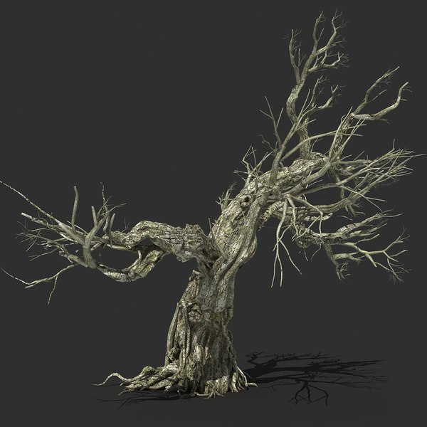 3d scary tree dry
