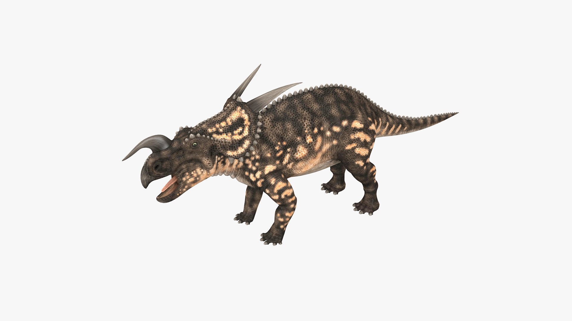Einiosaurus Dinosaur Model - TurboSquid 2365827