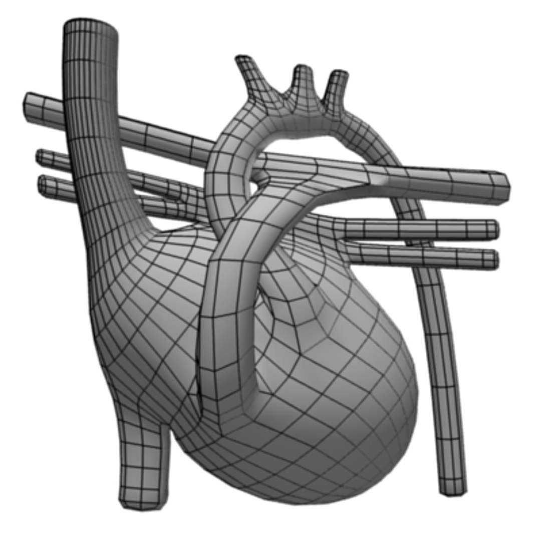 3d Heart Scheme